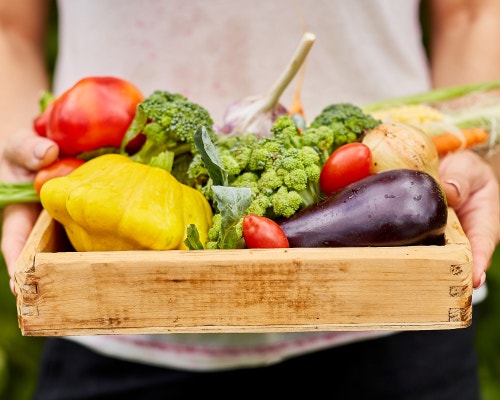 Why Nutrient-Dense Vegetables Deserve a Bigger Spot on Your Plate ...