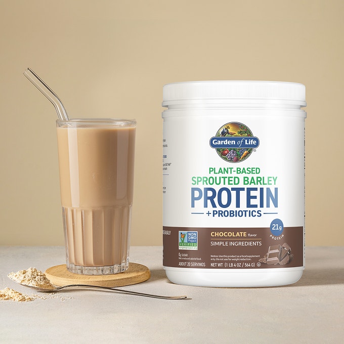 Sprouted Barley Protein + Probiotics Powder - Chocolate | Garden of Life