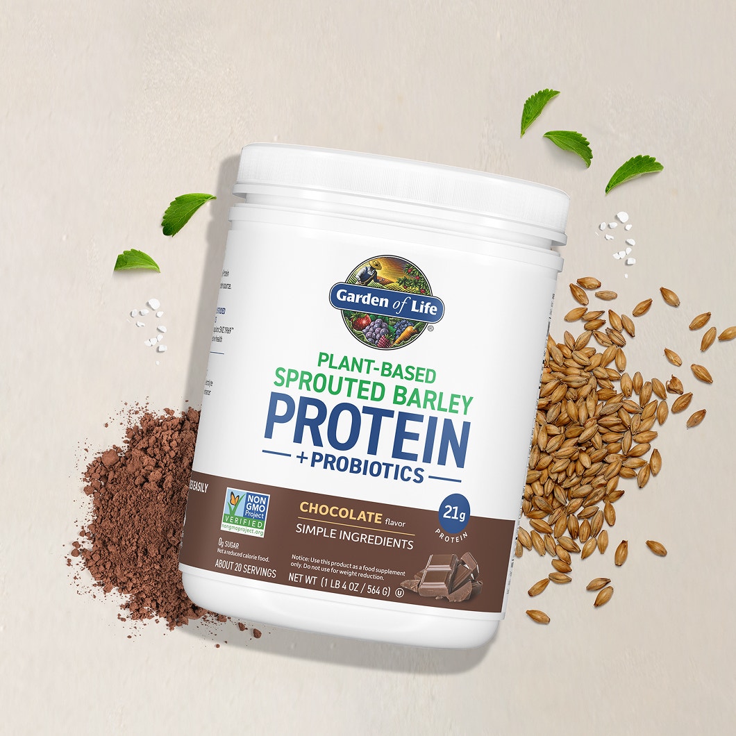 Sprouted Barley Protein + Probiotics Powder - Chocolate | Garden of Life